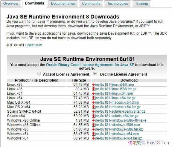 Java运行环境 Java SE Runtime Environment v8.0.181正式版 - KB199.COM